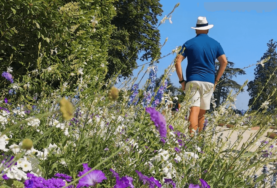 Pathway to Purpose: Revealing and Cultivating Your Core Values | Life ...